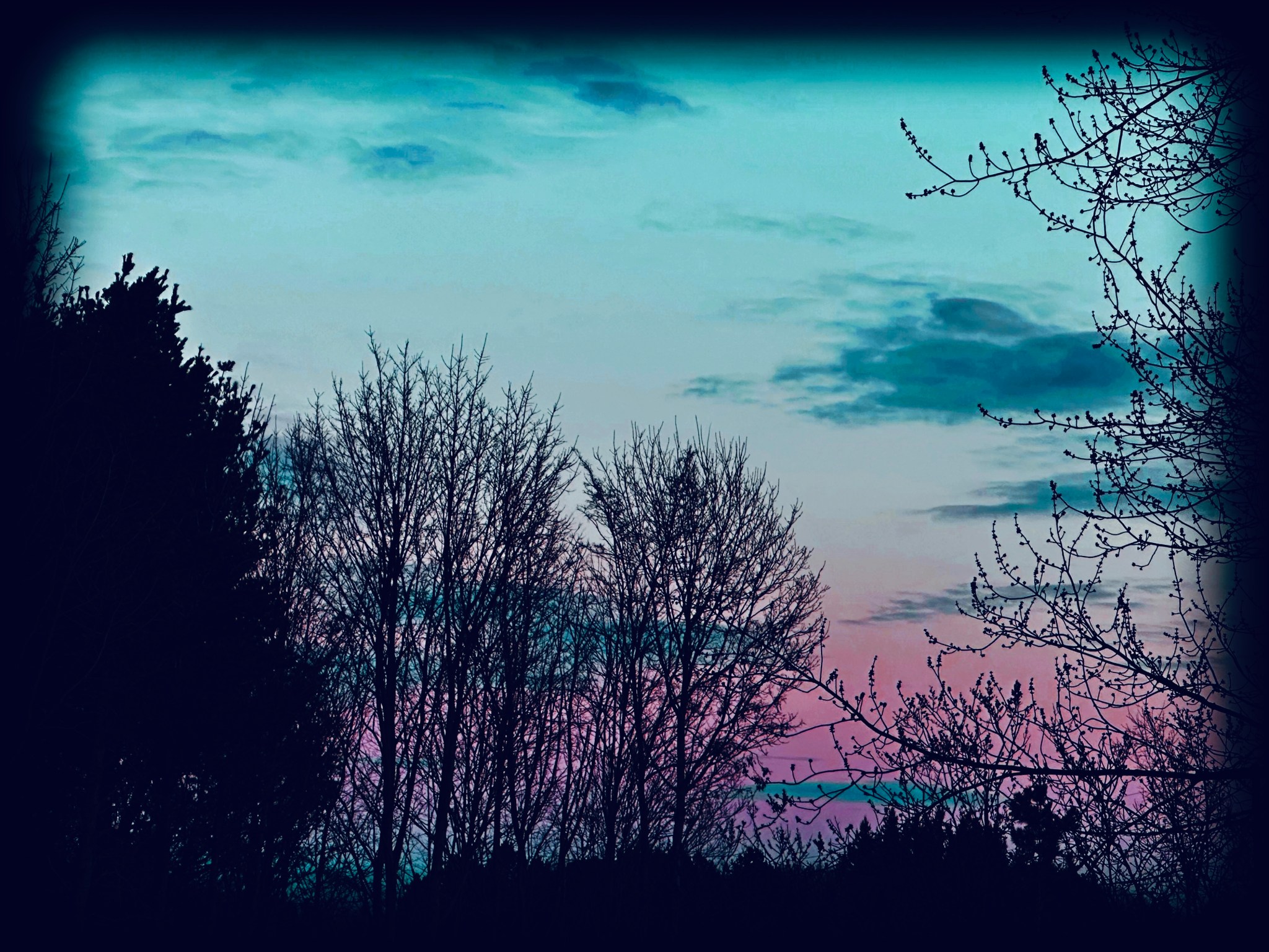 Word Ninja Girl – Poems, Essays, Thinkiness